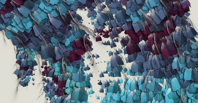 Fragments Solo Exhibition (2013) - boredomresearch